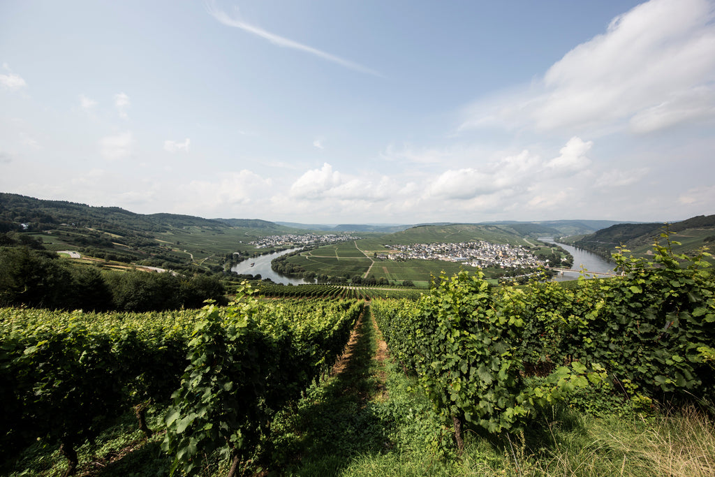 Weingut Willems-Willems – filigrane Saar-Rieslinge | walter&sohn ...